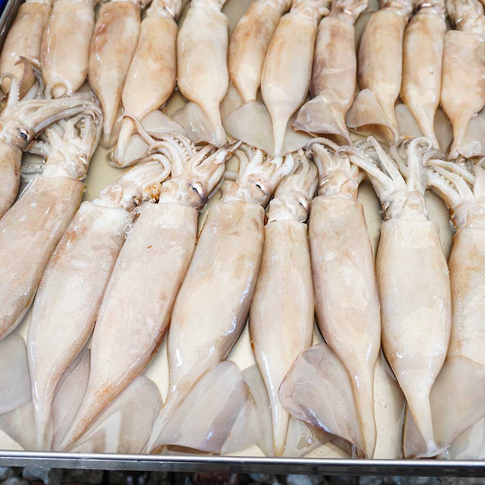 Chipirón 1kg - Pescados y Mariscos El Rubio